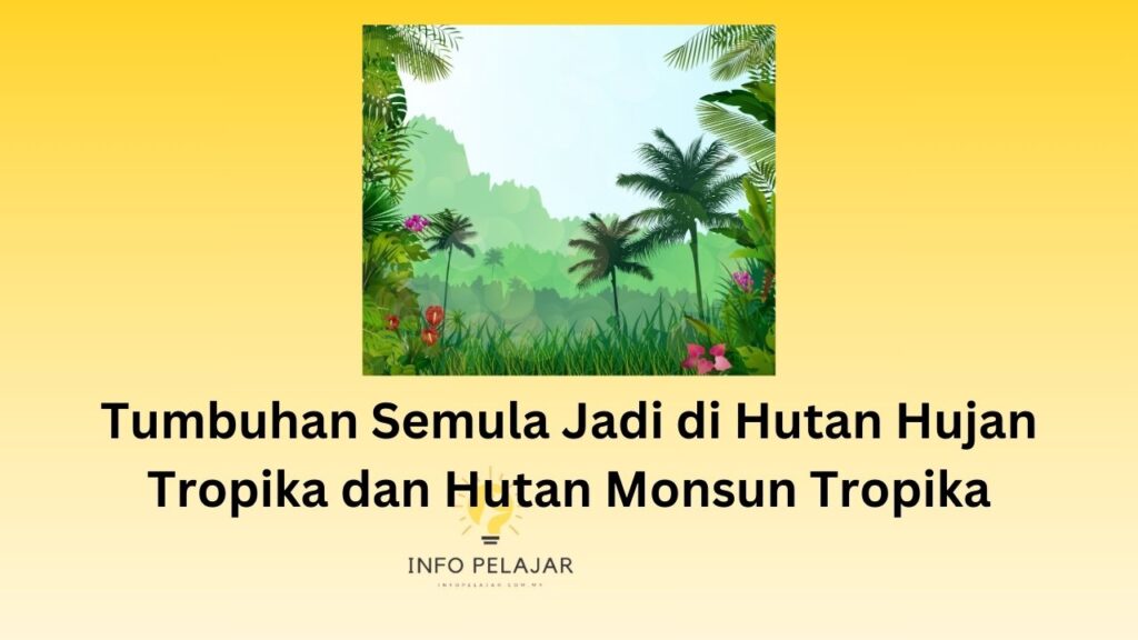Tumbuhan Semula Jadi di Hutan Hujan Tropika dan Hutan Monsun Tropika ...